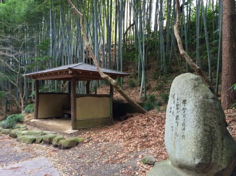 Visit MITO